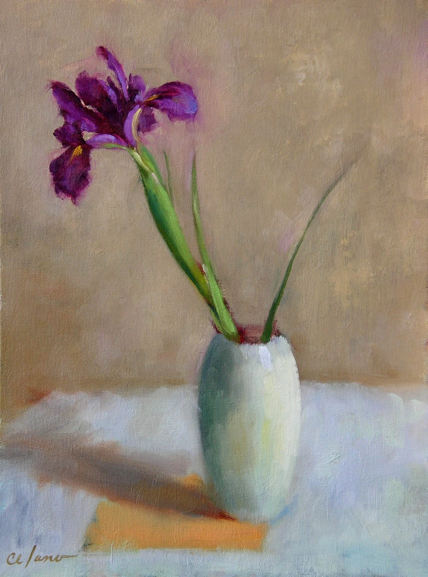 Exhibitions — Ambleside Gallery