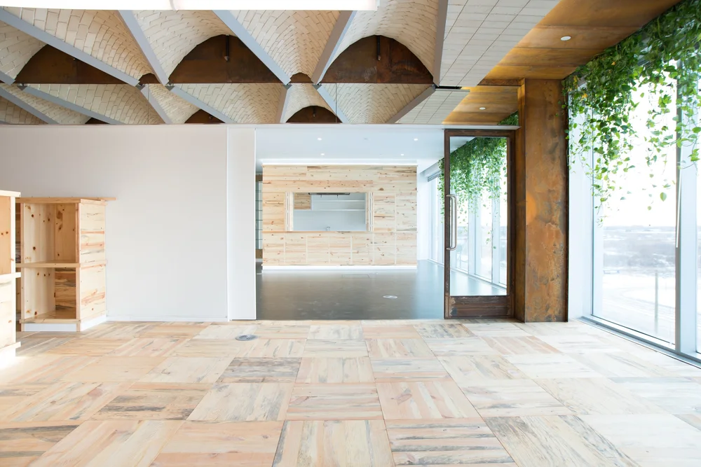 COLLABORATION WITH PETER RICH: Architects of South Africa — Two Hands ...
