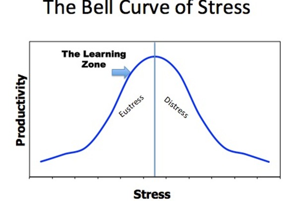 Groove Management | BE A HAPPY CAMPER IN LIFE