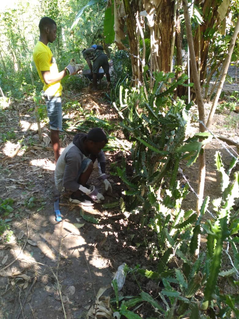 Goat Proof Fencing At Our Second Nursery — The Haiti Tree Project