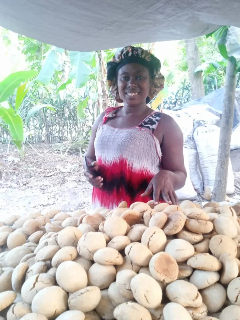 Current Activities — The Haiti Tree Project