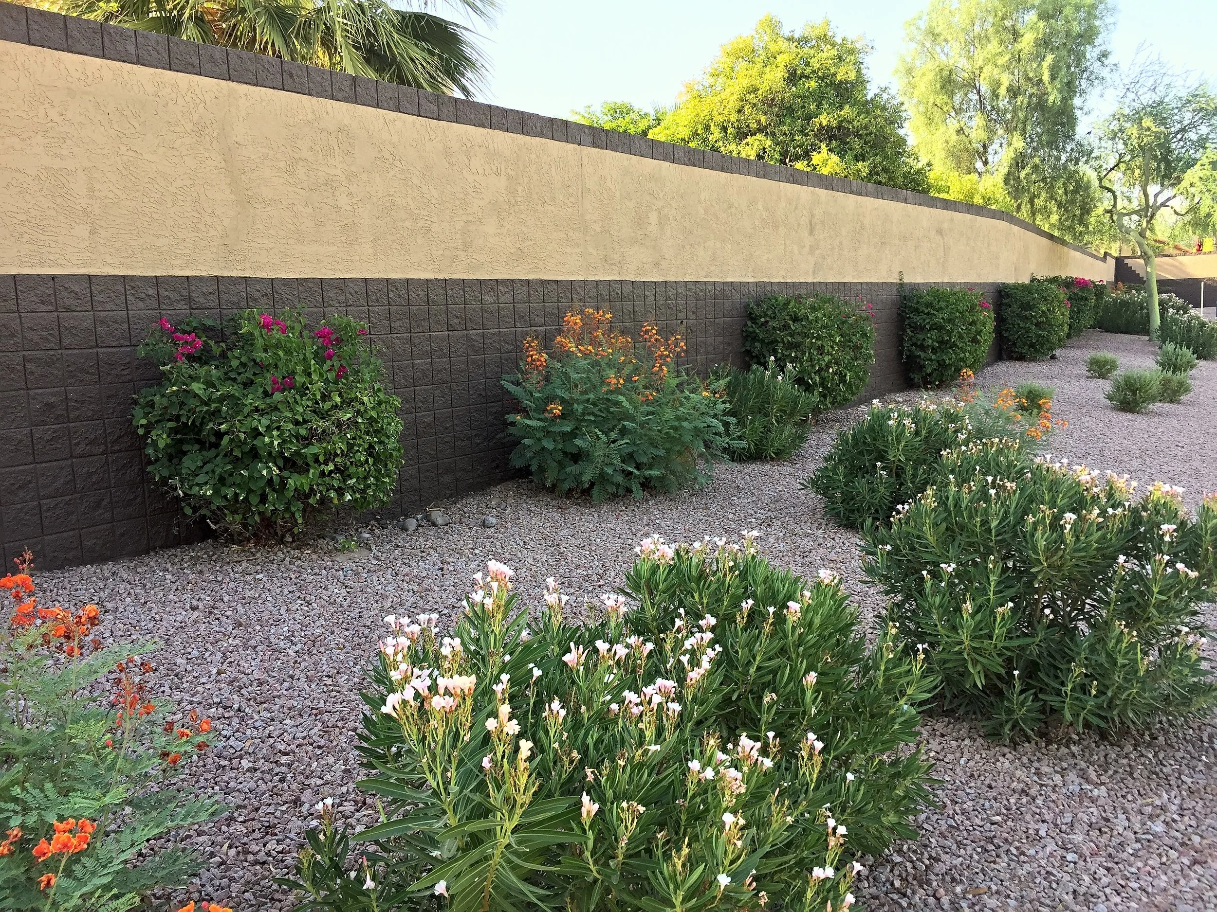 Superstition Springs Homeowners Association — ProQual Landscaping