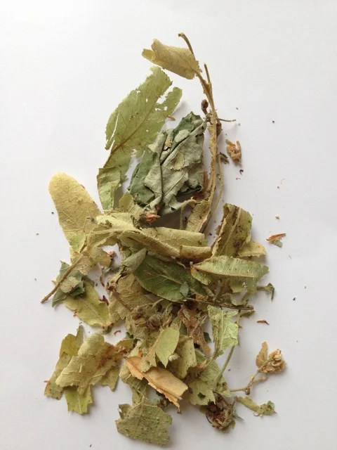 Wholesale Botanical & Herb Supplier | Joseph Flach & Sons