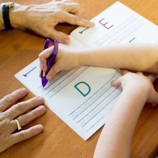 Wipe-off Letter Card Set — Learnersaurus