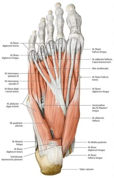 Praxis für Schmerzbehandlung