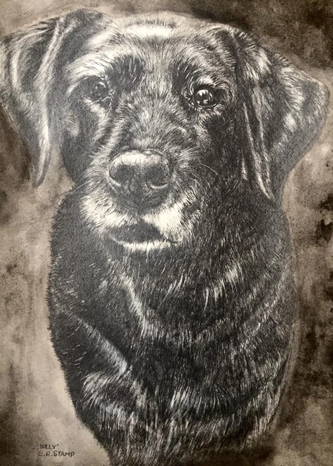 Drawings—Eleanor-Rose Stamp