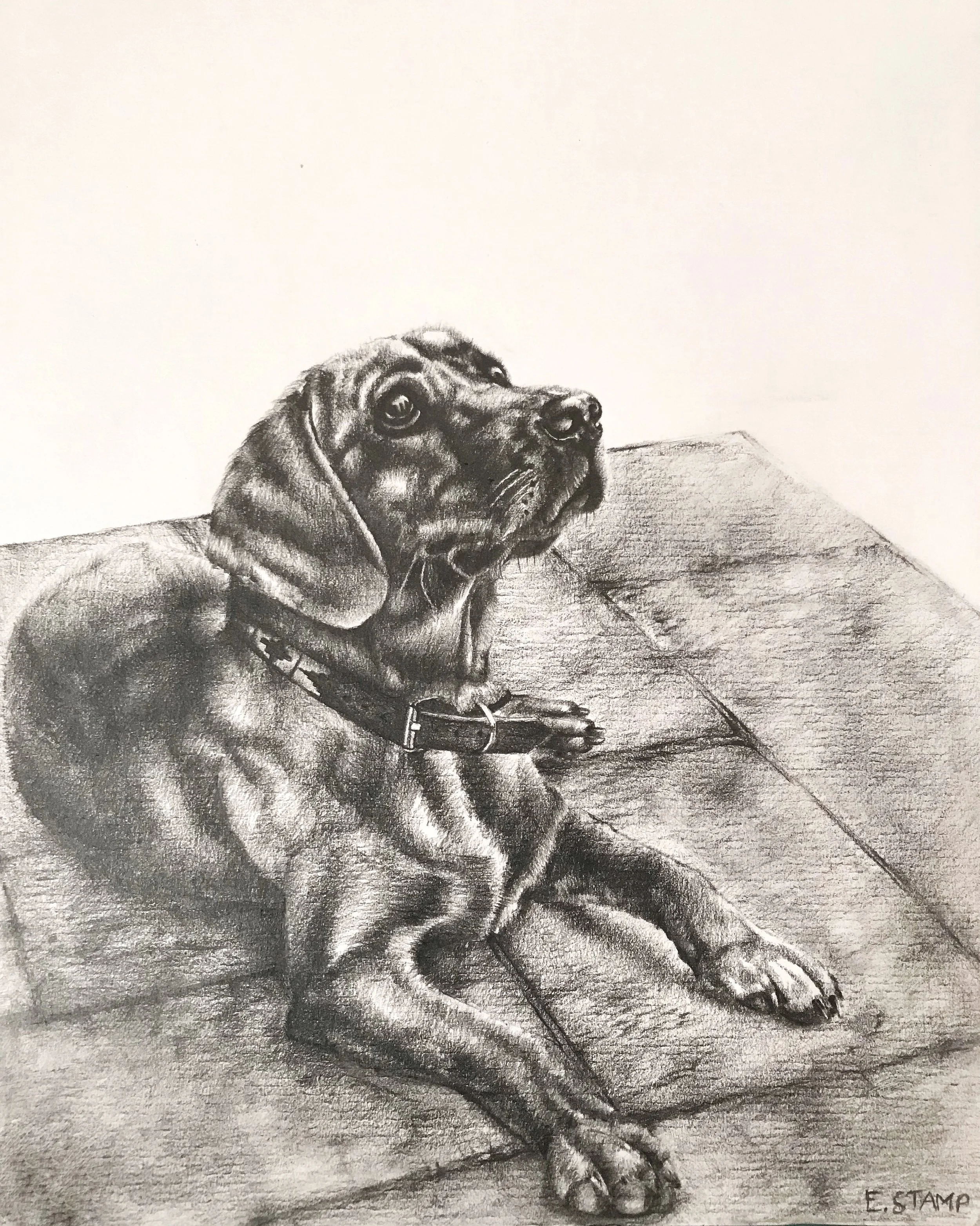 Drawings—Eleanor-Rose Stamp