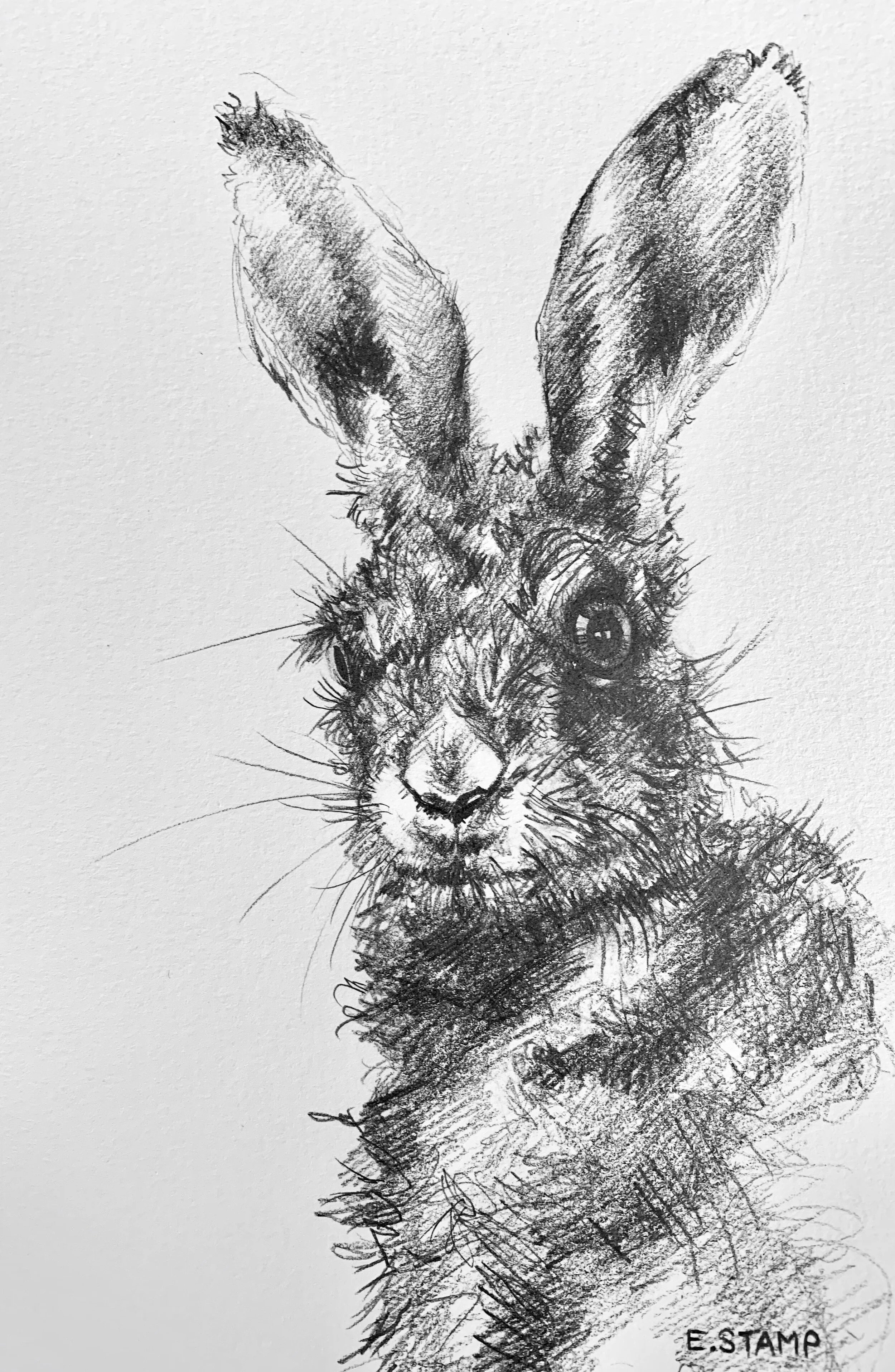 Drawings—Eleanor-Rose Stamp