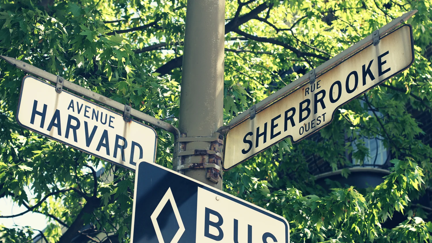 Contact — Encore Books and Records