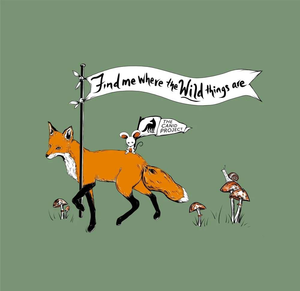 Wild Things 3