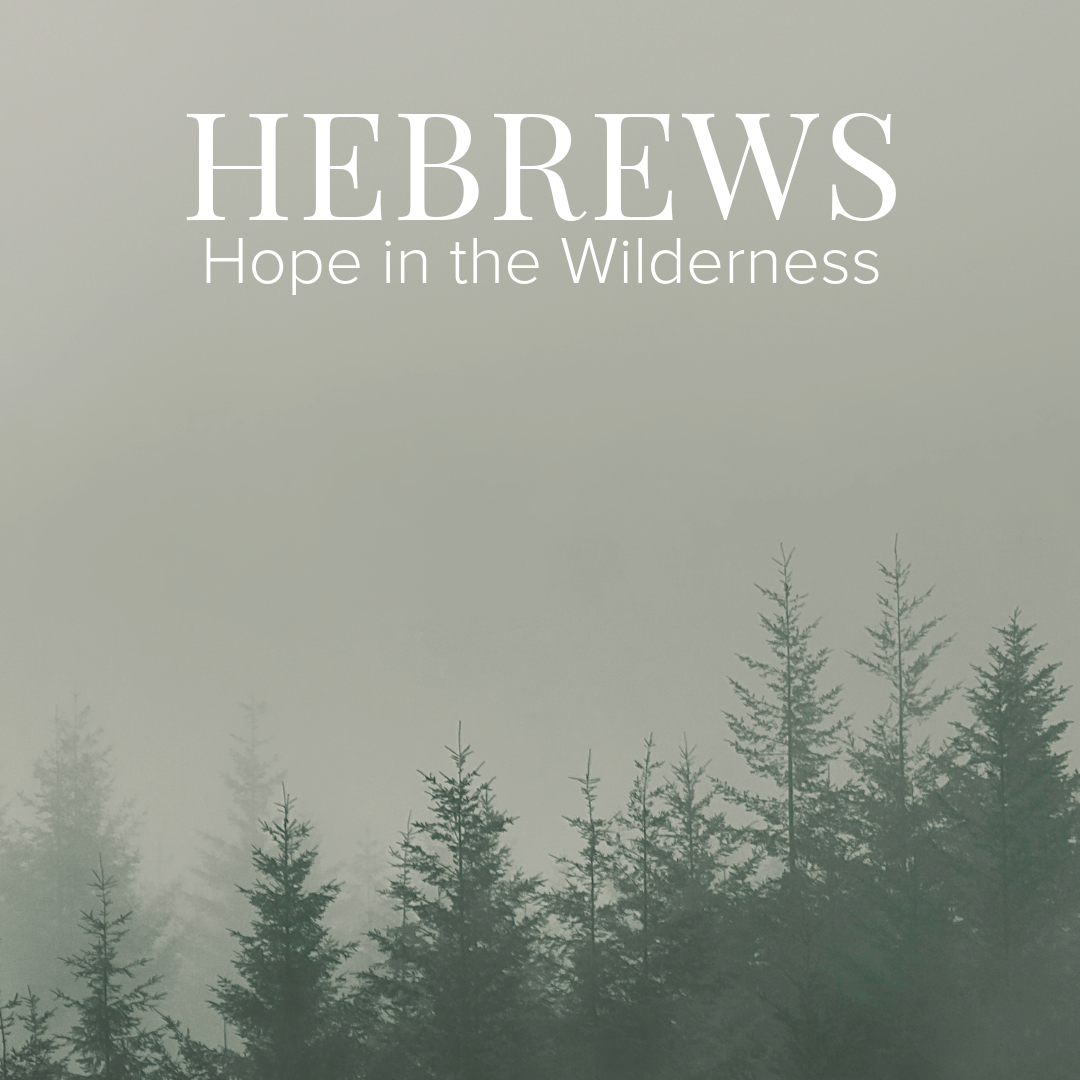 The Shepherd in the Wilderness — Grace Church