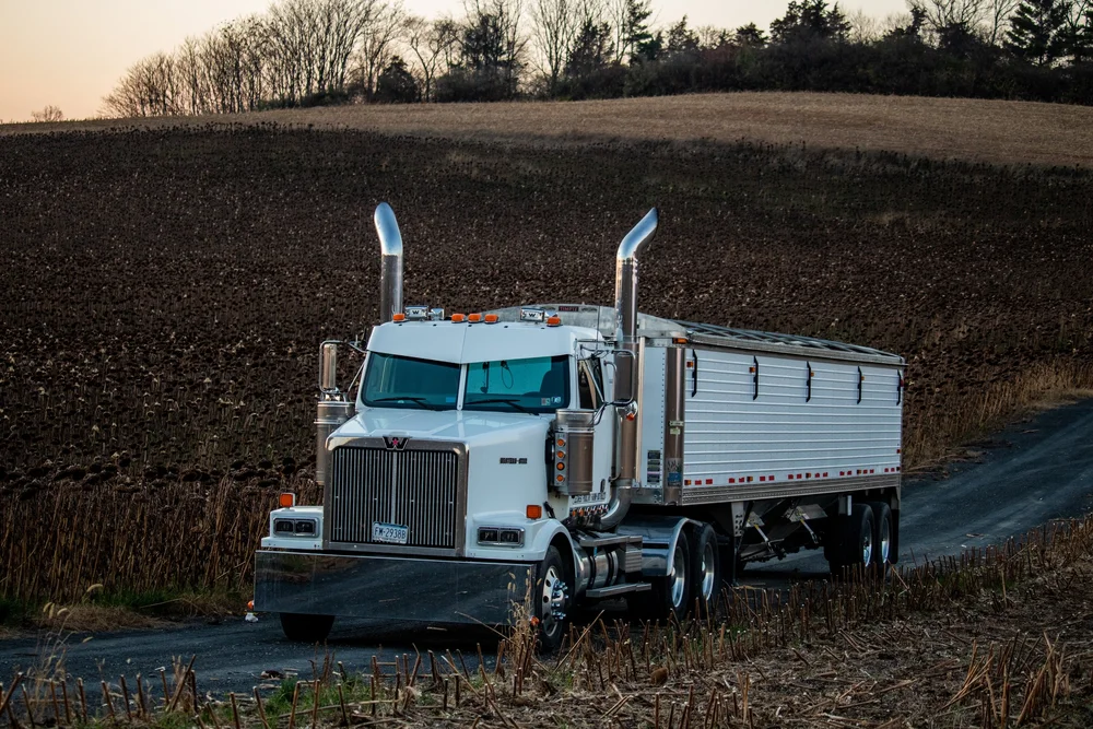 What's Happening On The Farm — Lesher Poultry Farm