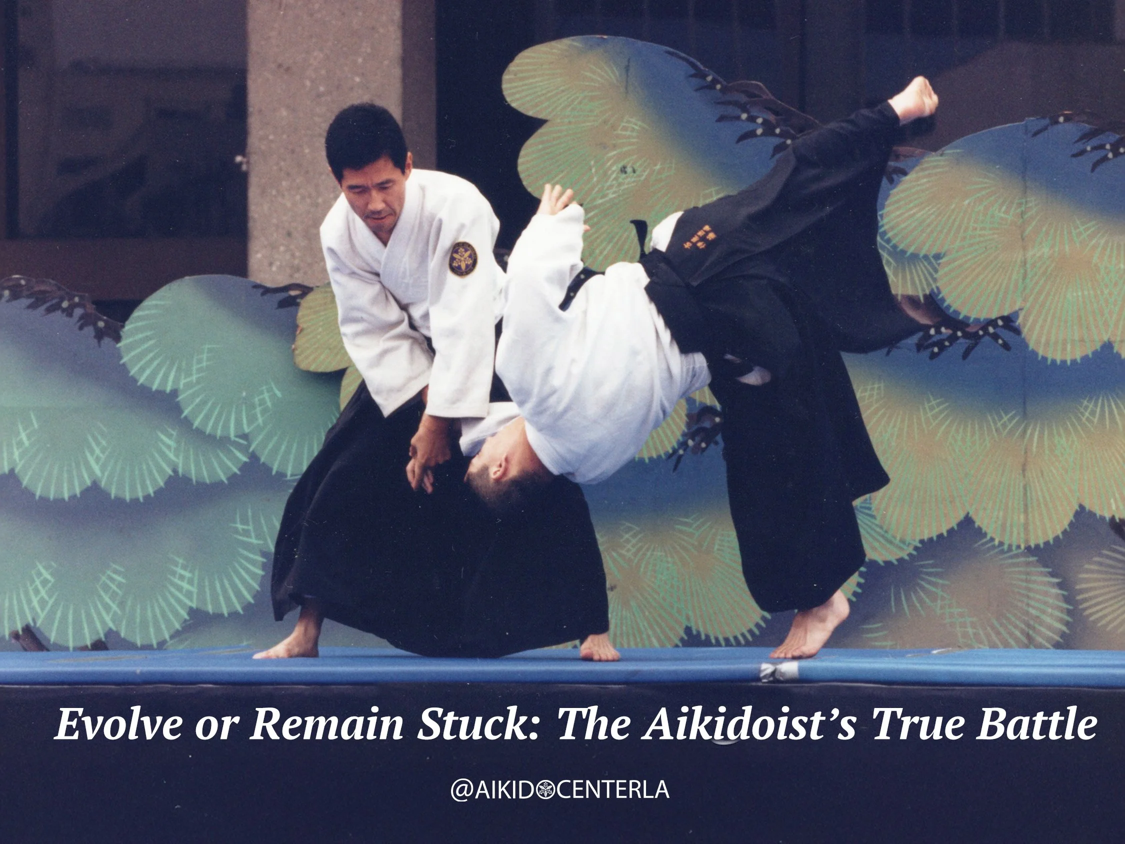The Aiki Dojo Message — Aikido Center of Los Angeles