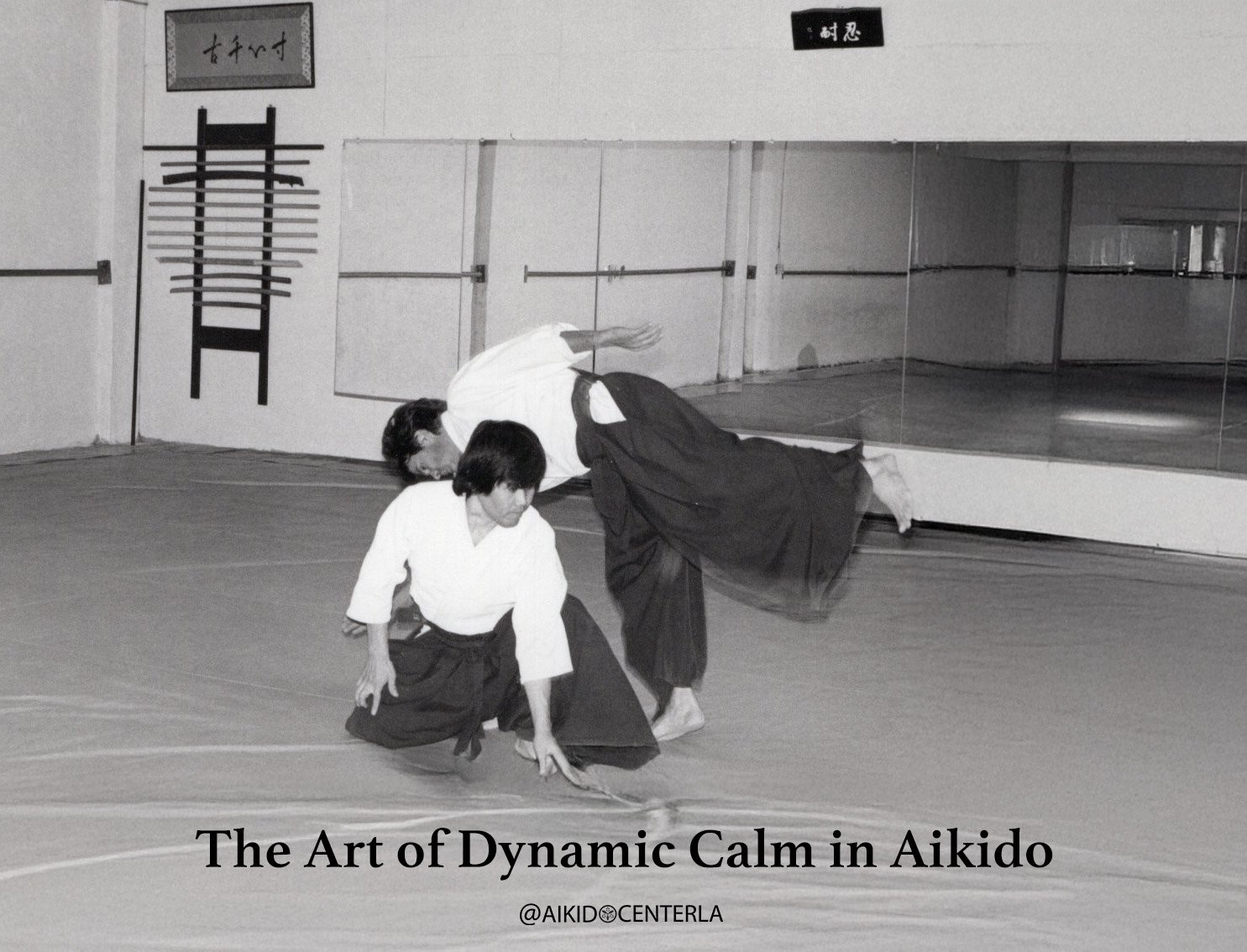 The Aiki Dojo Message — Aikido Center of Los Angeles