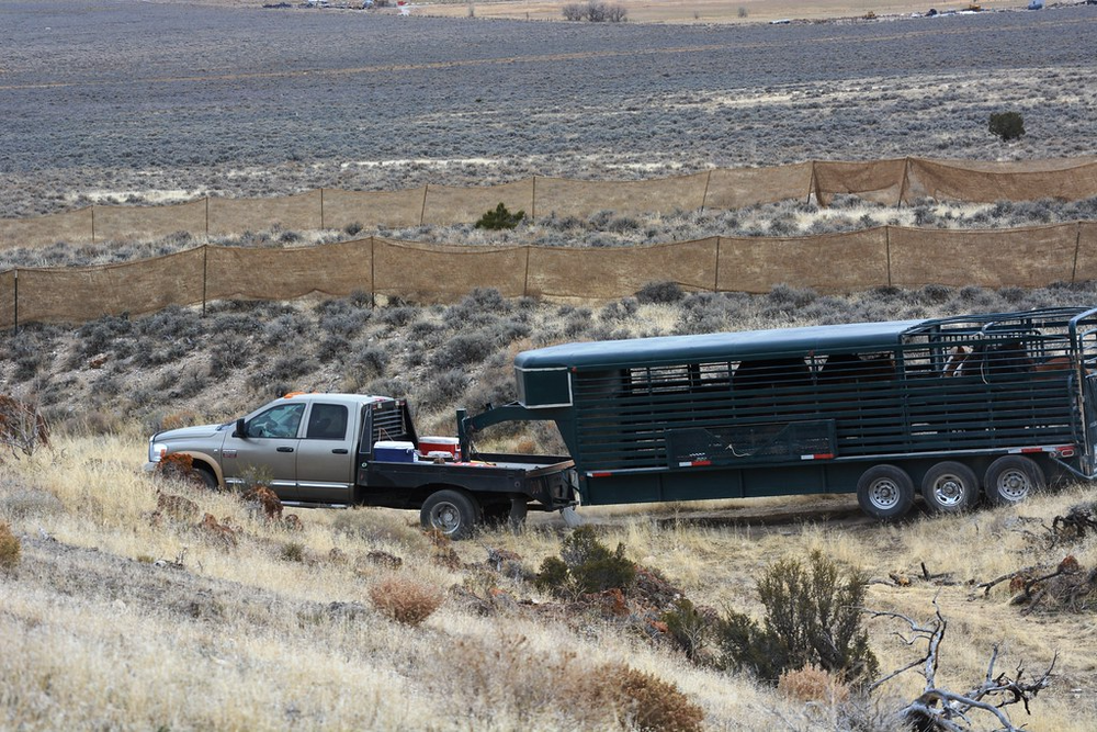 The Dirt Legal Guide to RV and Trailer Weights: Stay Safe and Legal on ...