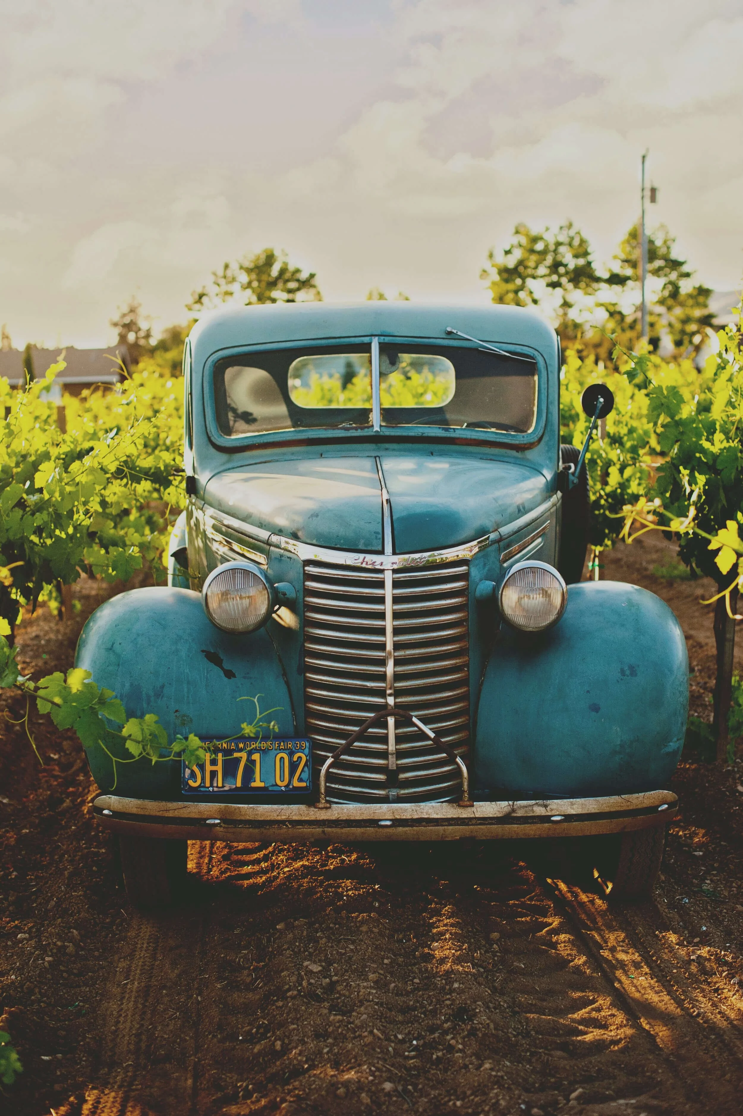 How to Get a Temp Tag For Your Vehicle — Dirt Legal