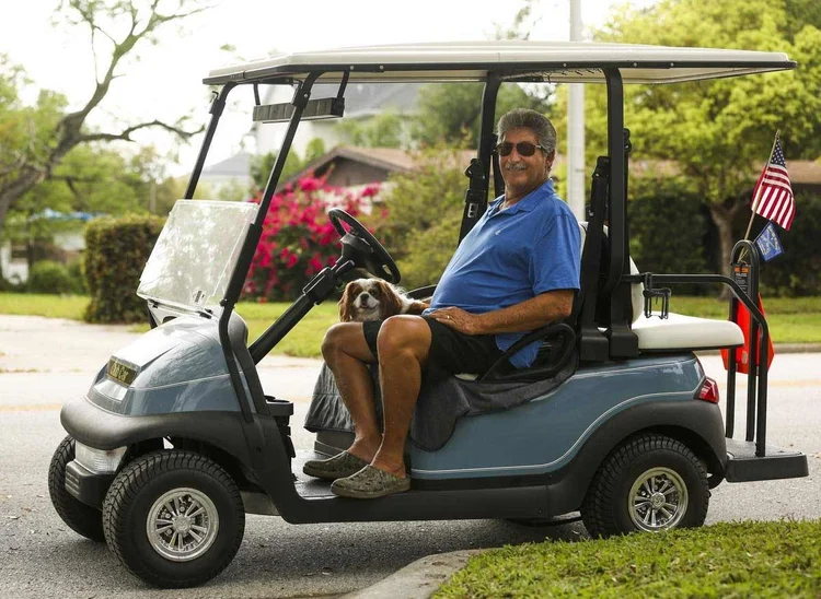 What is a Low Speed Vehicle (LSV)? Is It a Golf Cart? — Dirt Legal