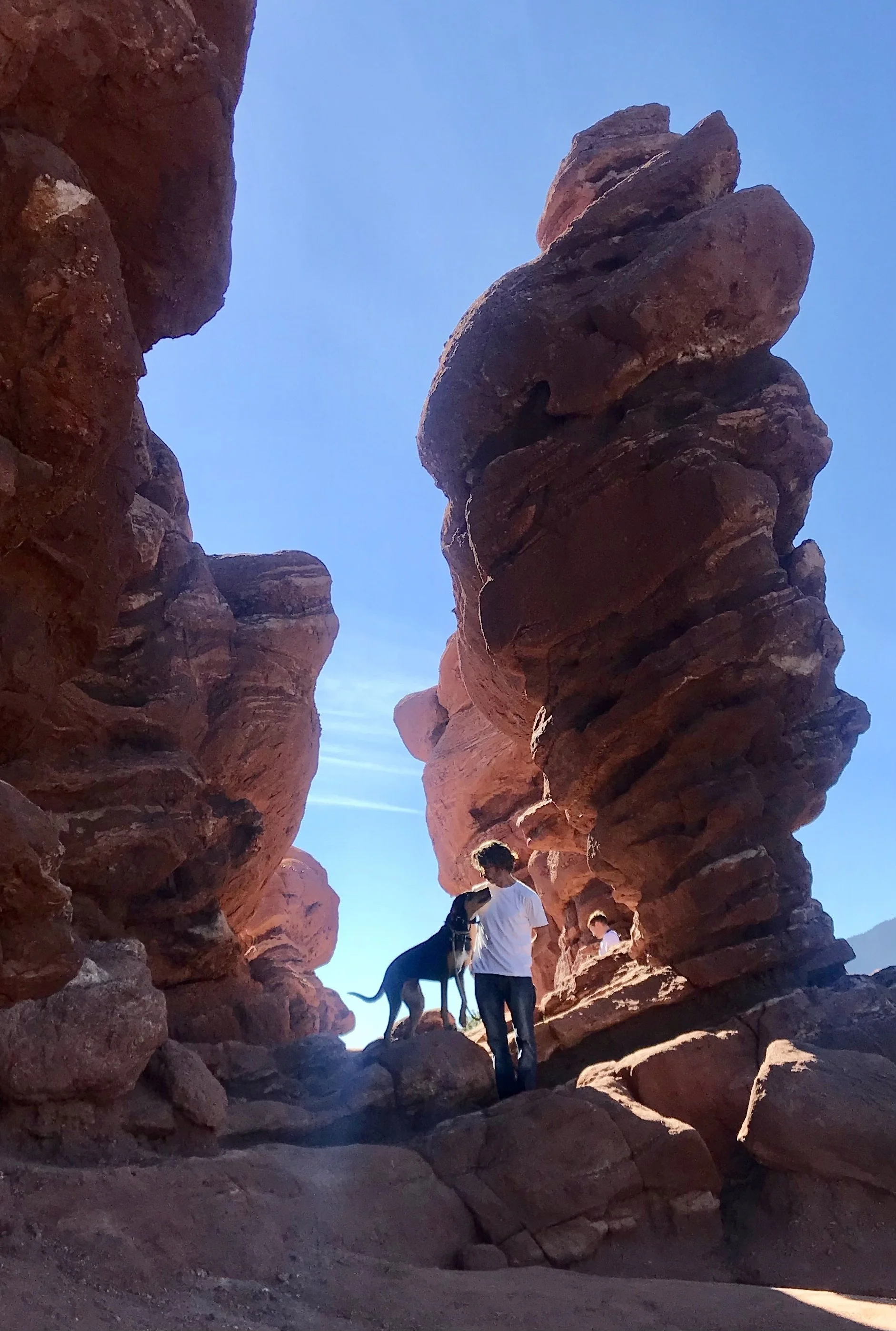 Go Off Leash
