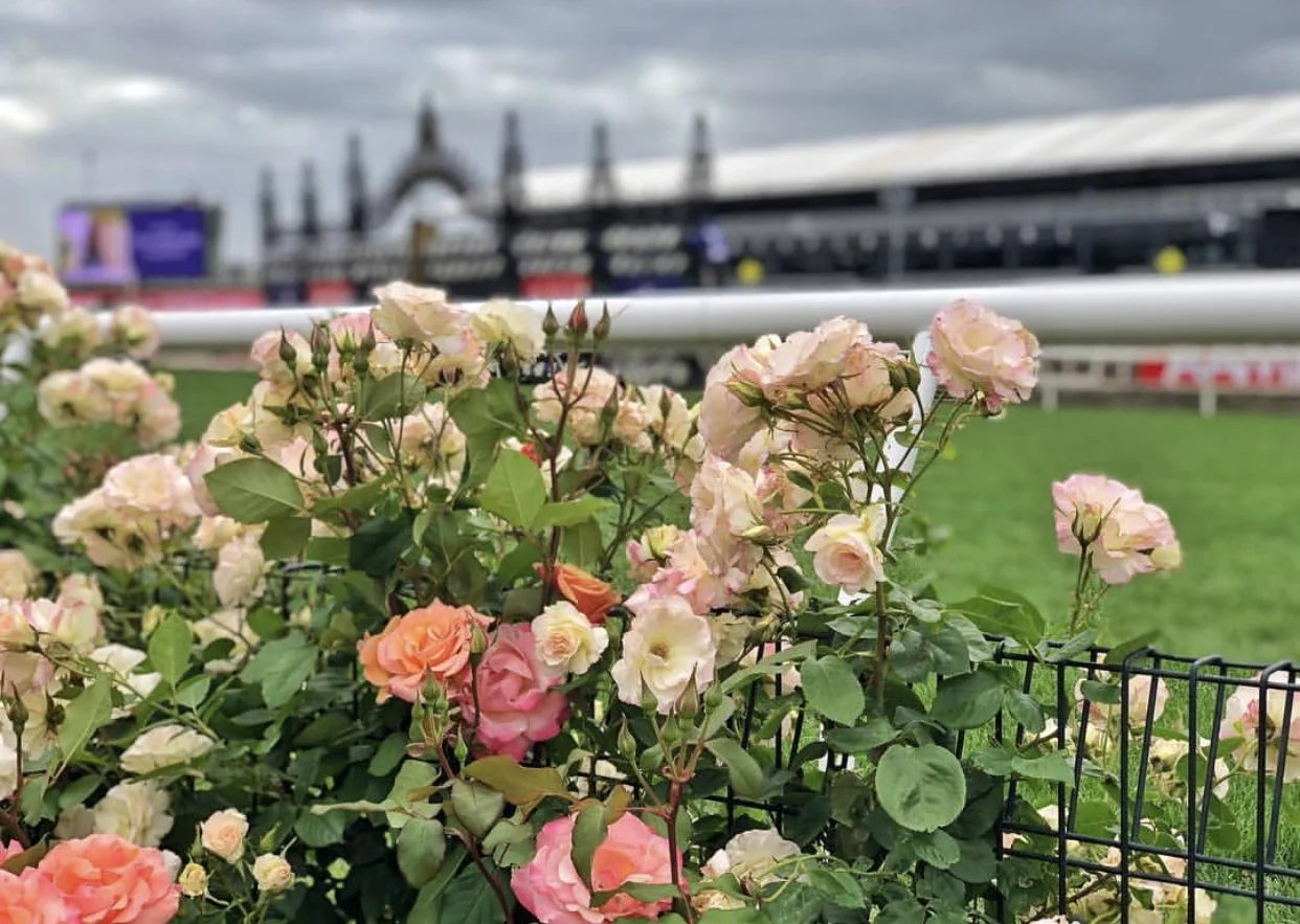 Melbourne Spring Racing Carnival — Corporate Sports Unlimited