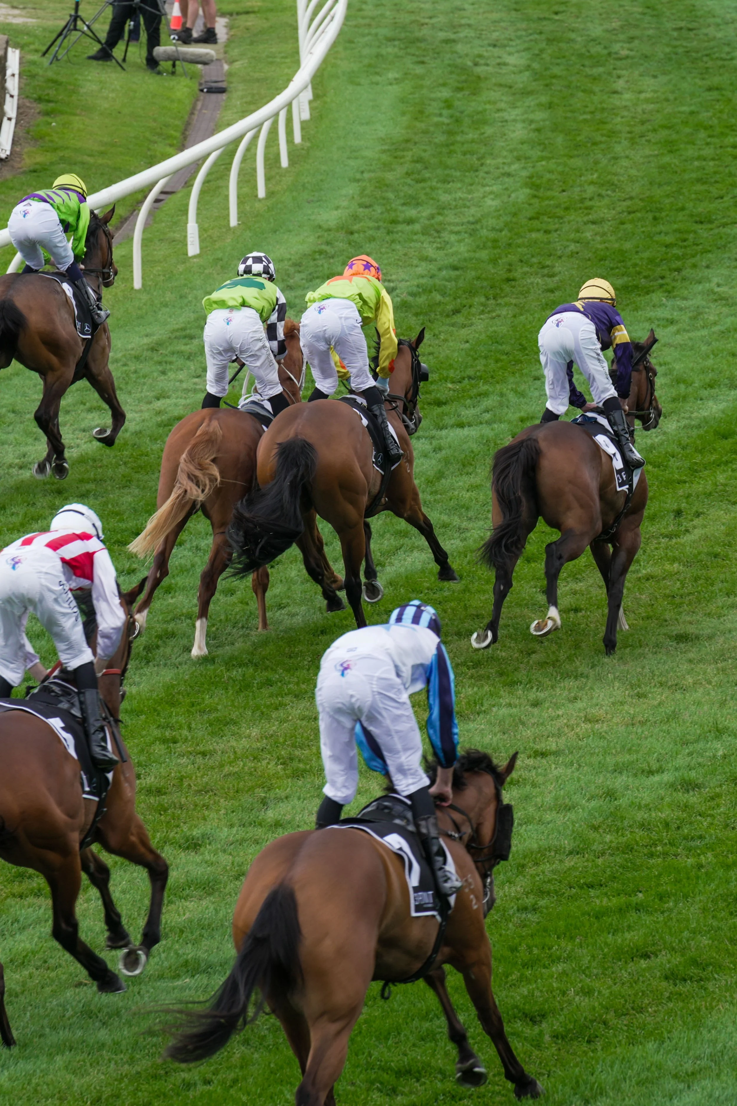 Cox Plate 2025 — Corporate Sports Unlimited