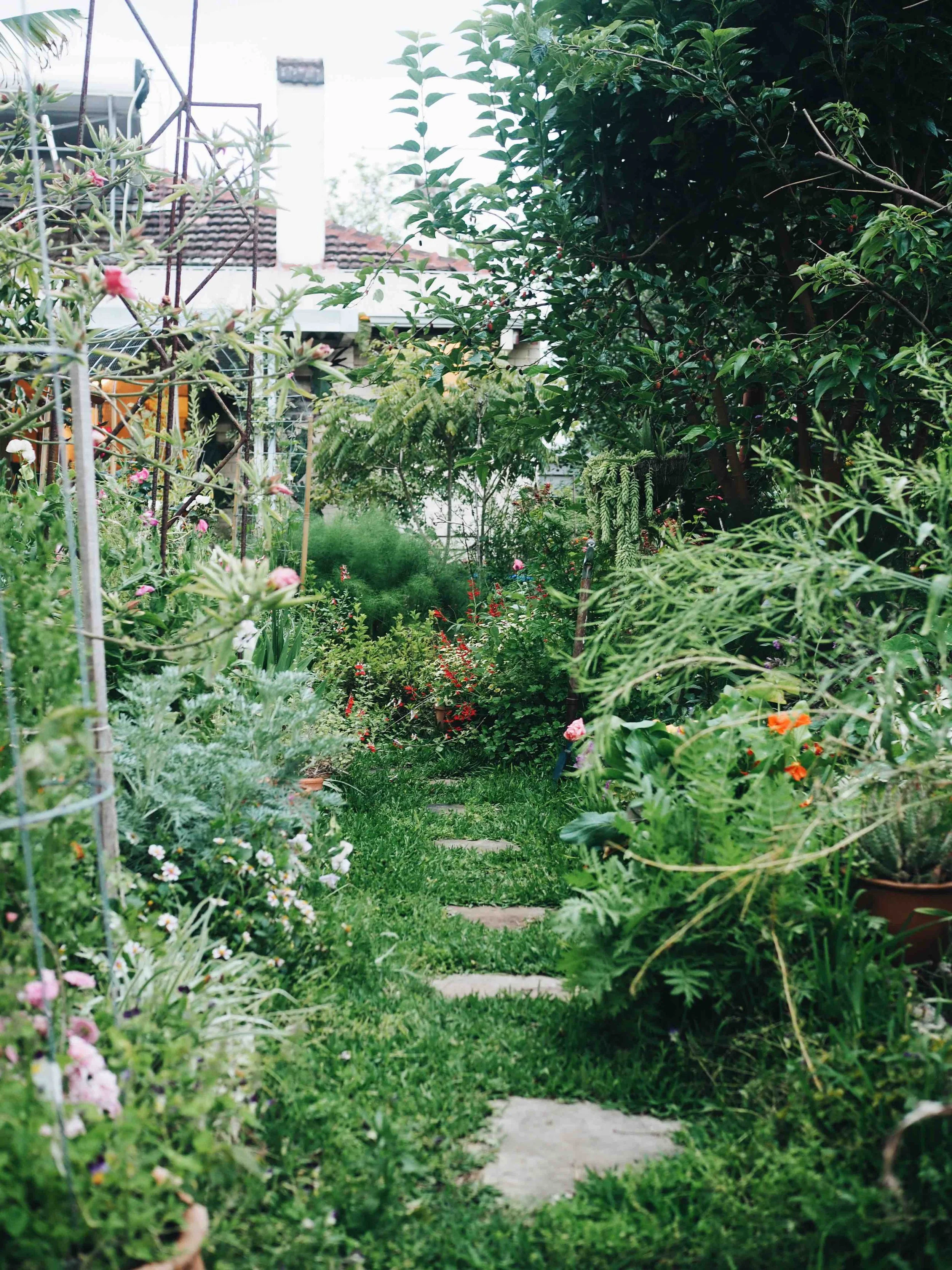 Learn to Garden — Gardening with Casey Joy