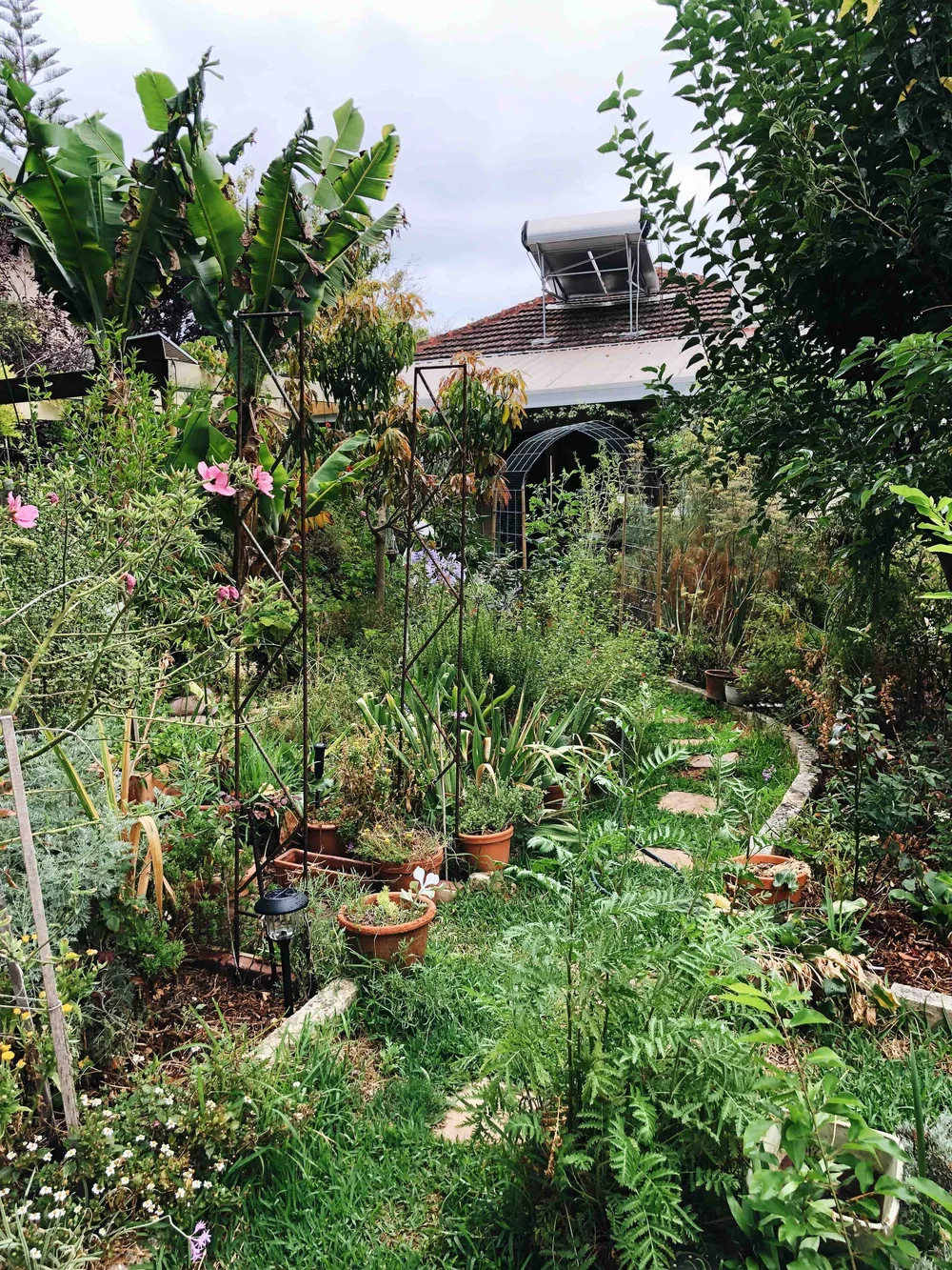 Learn to Garden — Gardening with Casey Joy