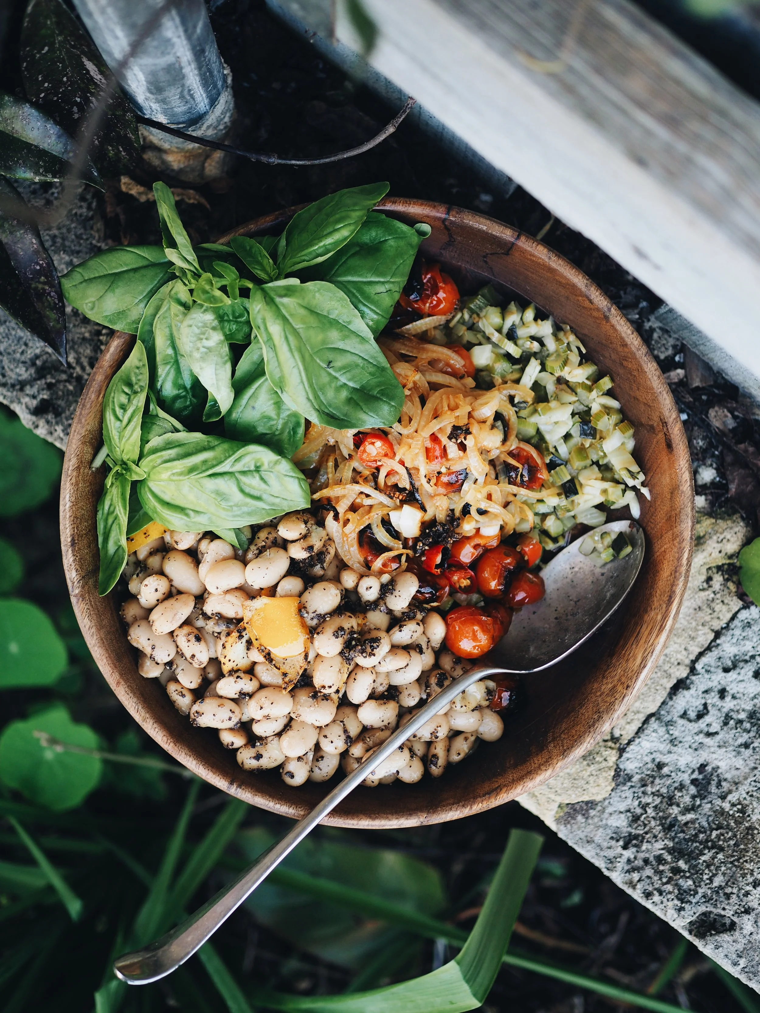 Recipes — Gardening with Casey Joy