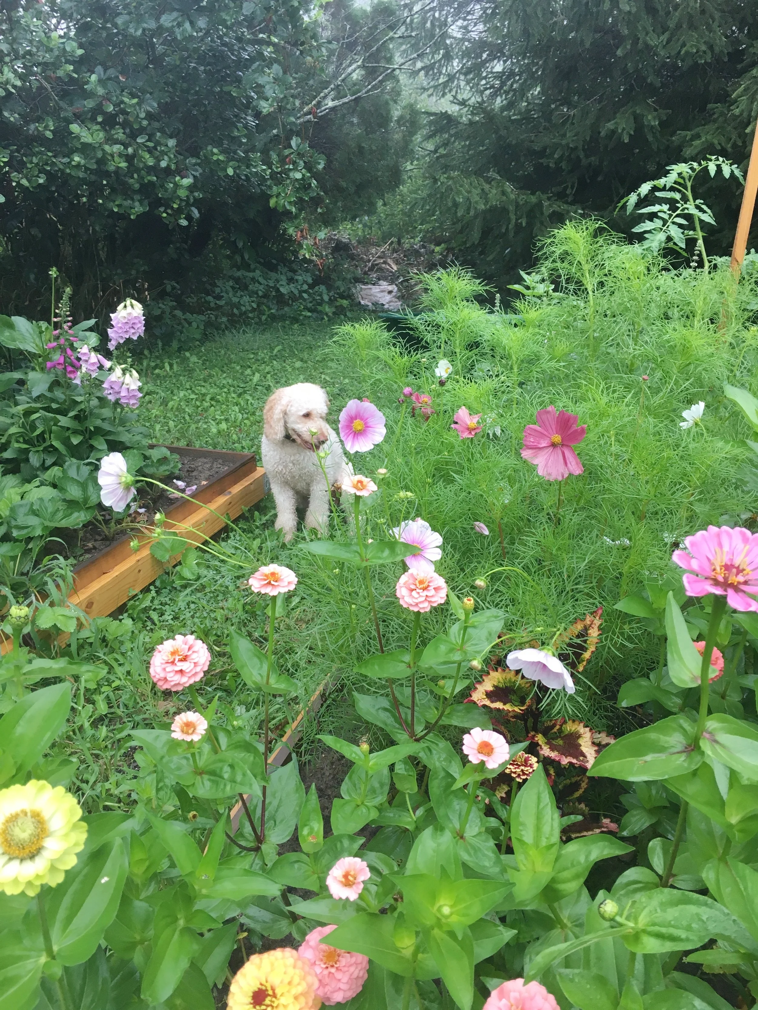 Erin from Floret Flowers