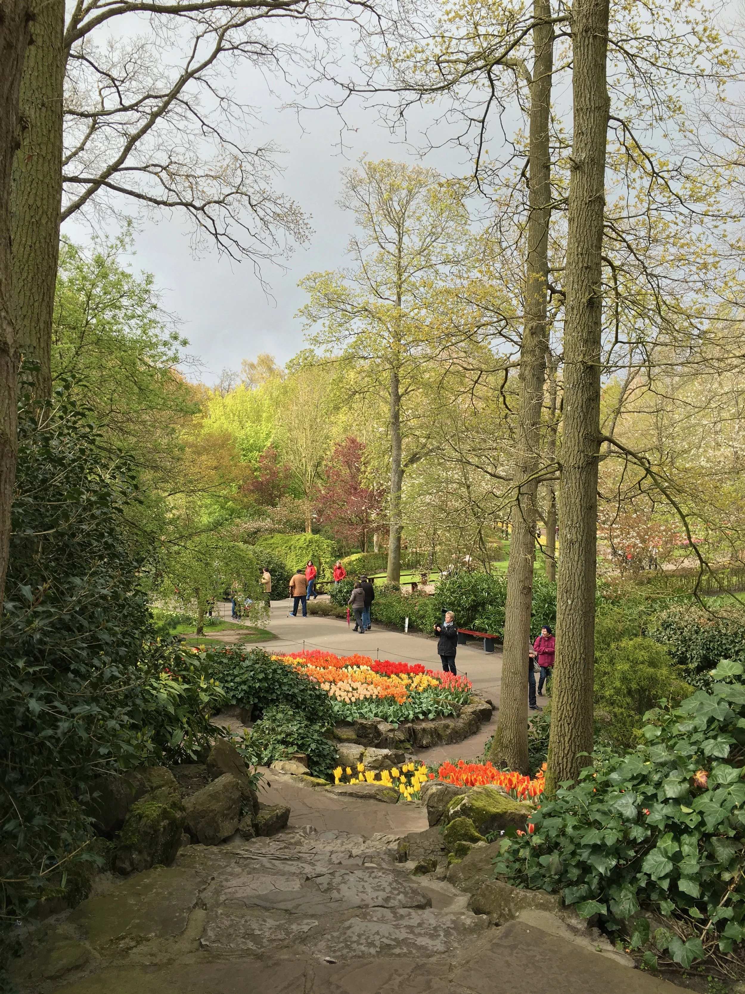 It's Time to Plant Tulips!