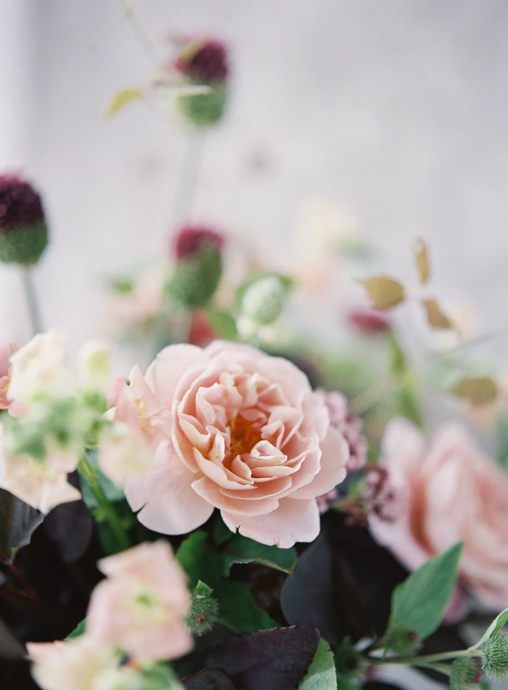 Color Inspiration from the June Team Flower Workshop