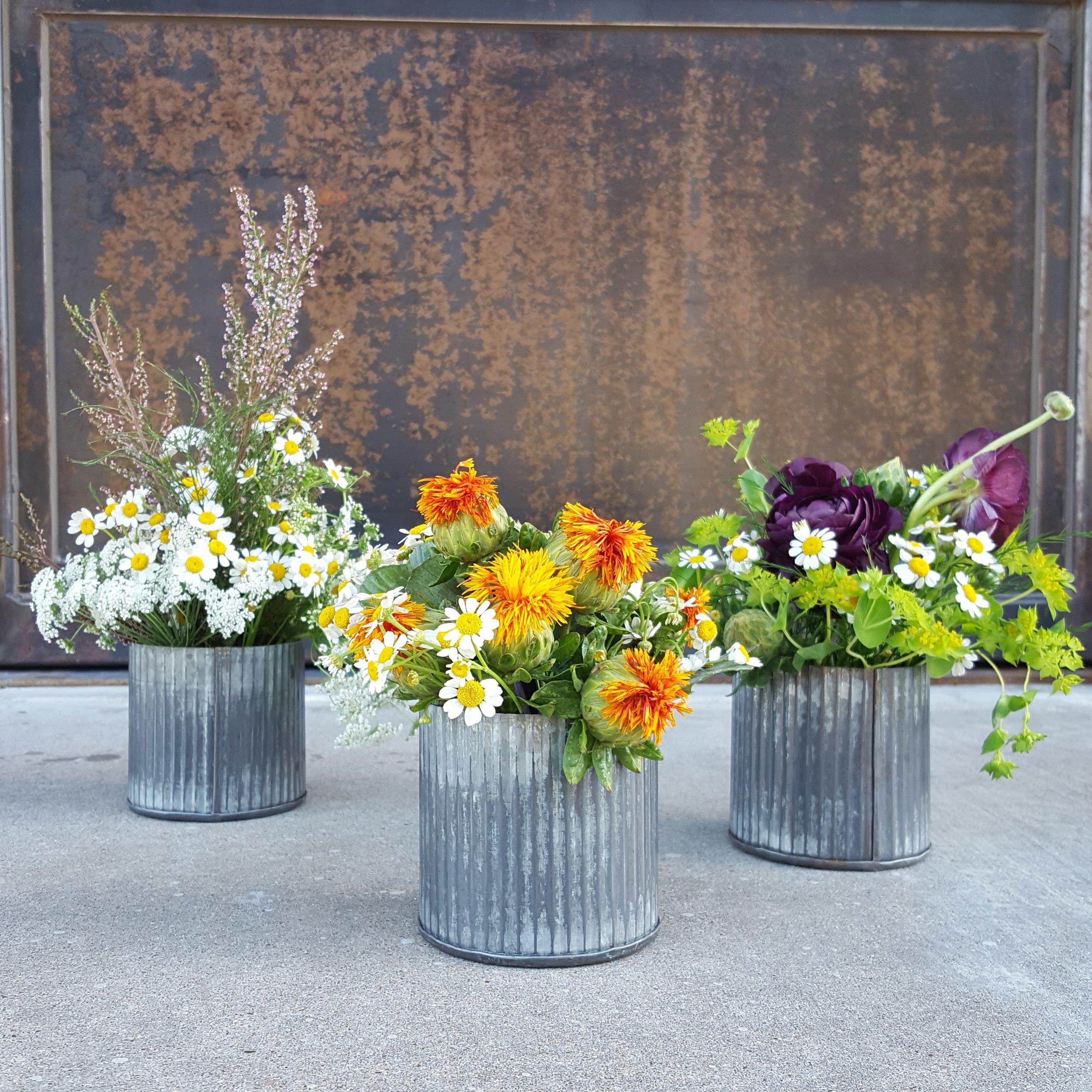 Sierra Flower Finder