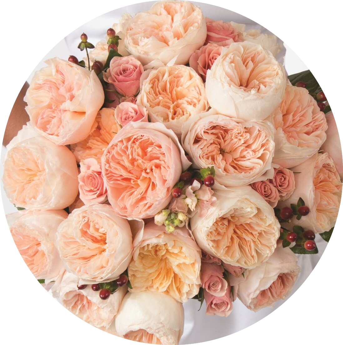 Best Roses for Floral Design