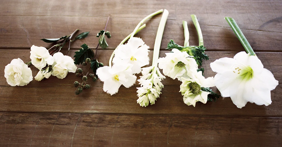 Sierra Flower Finder