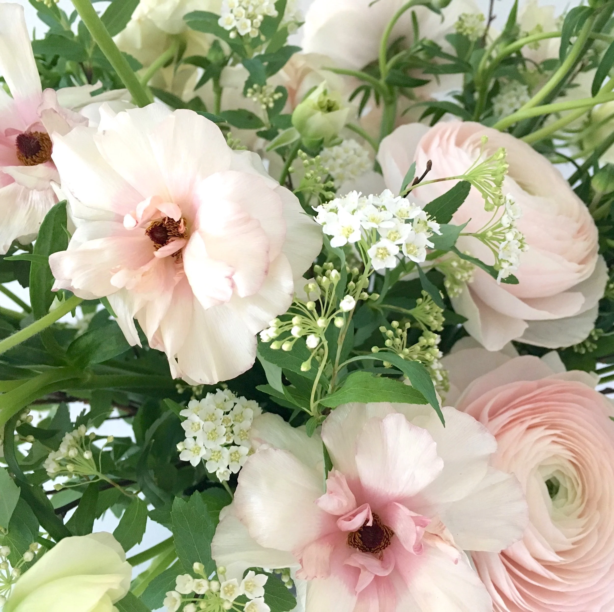 Video: Floral Cocktail Table Centerpieces—With One Ingredient