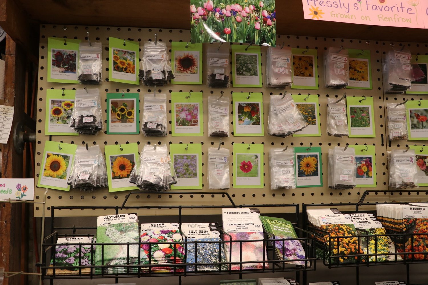 Where to buy flower seeds for sale