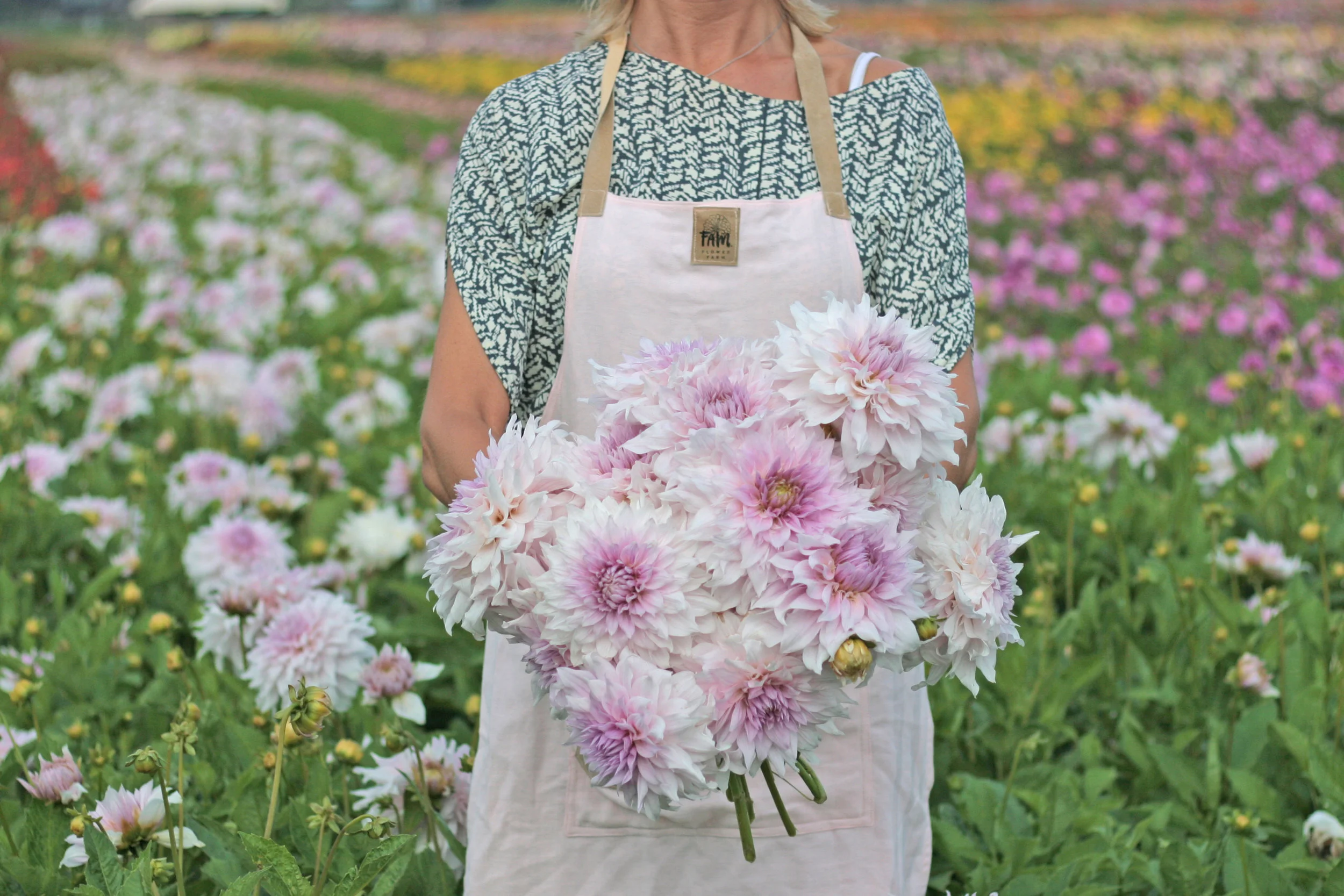 Harvesting Tubers with FAM Flower Farm