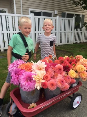 The Growing Kindness Project: Using Flowers to Brighten Your Community