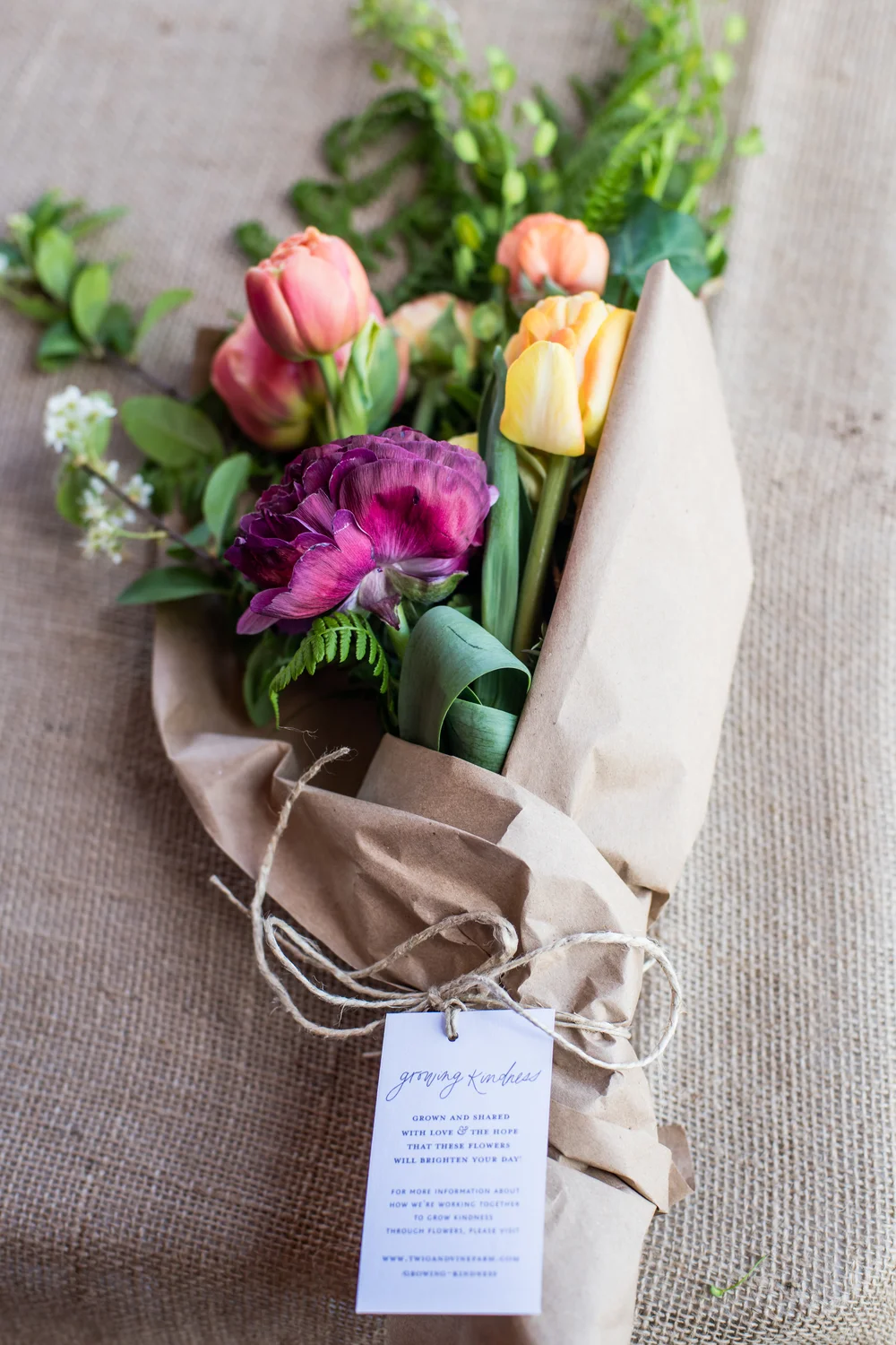 The Growing Kindness Project: Using Flowers to Brighten Your Community