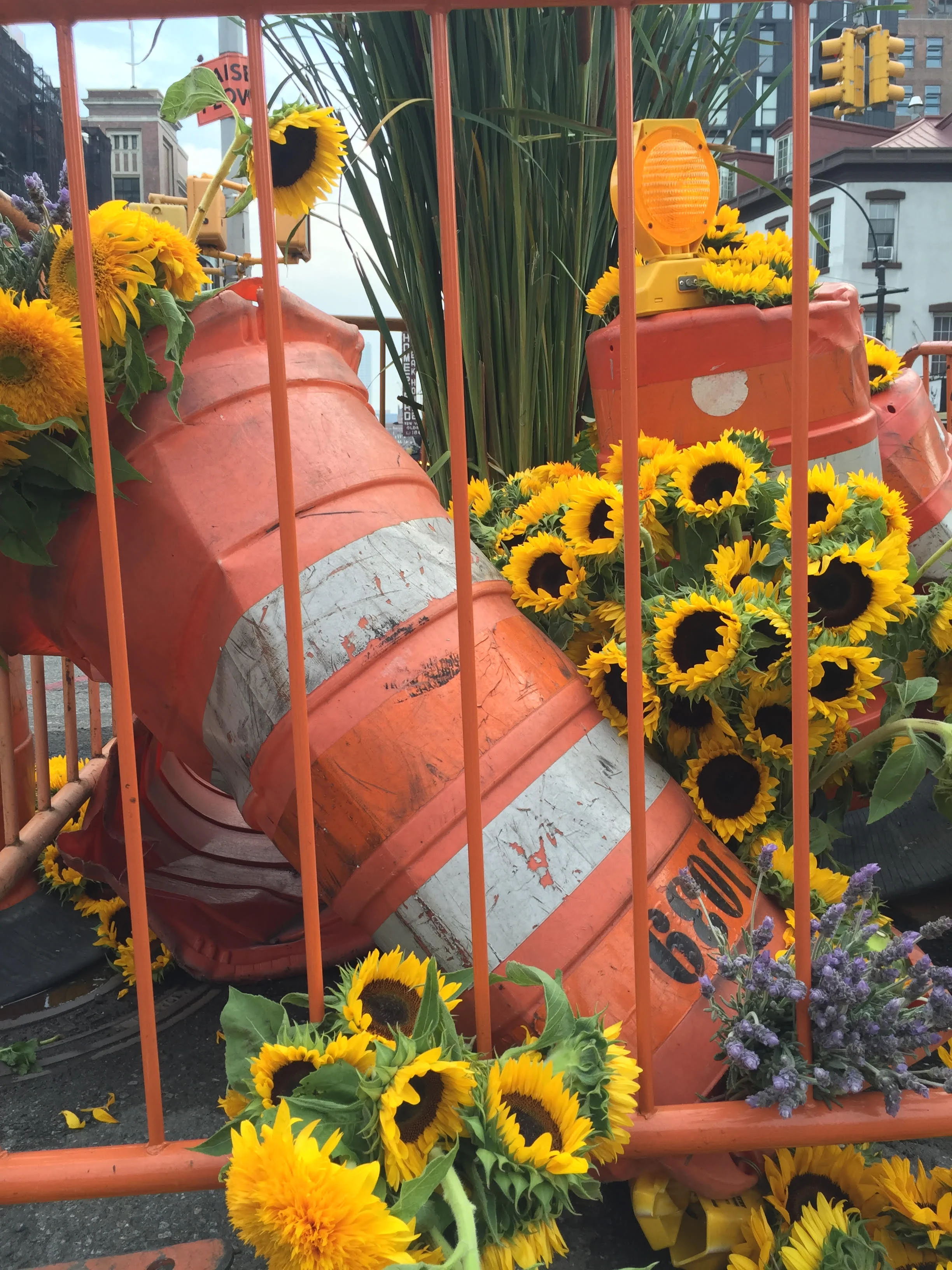 Flower Flash Art with Lewis Miller Design