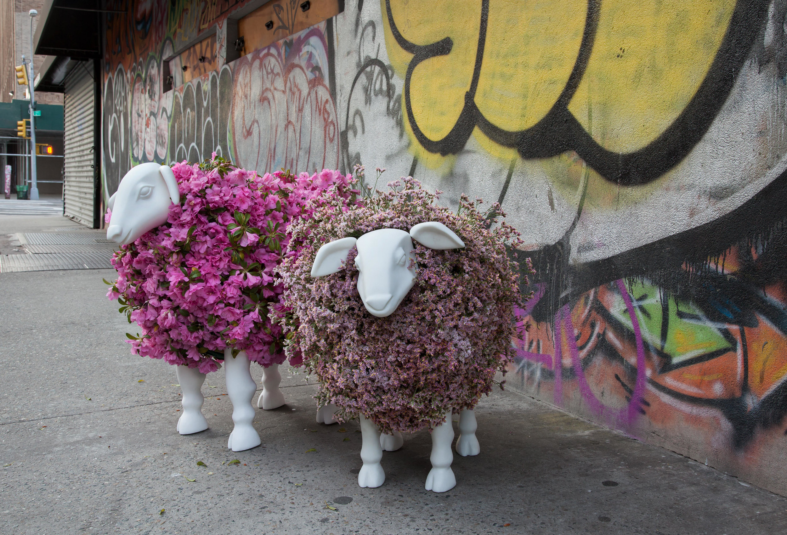 Flower Flash Art with Lewis Miller Design