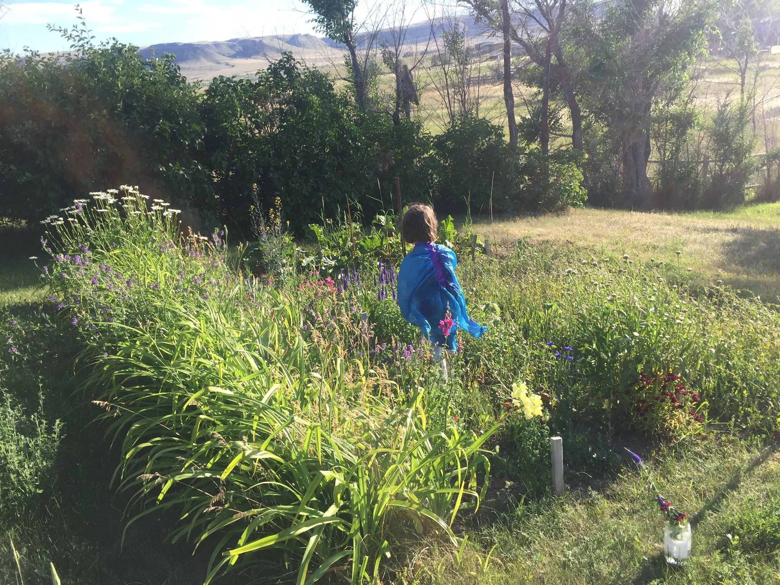 How to Transform Your Flower Farm into a Garden