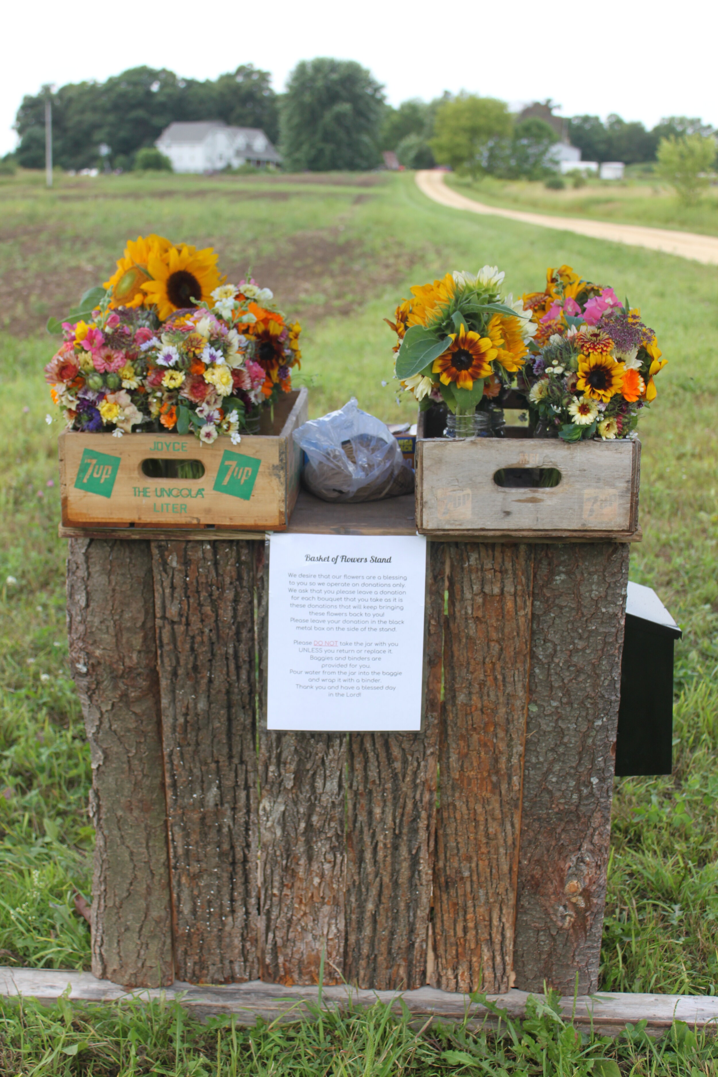 Best Tips for Operating a Roadside Flower Stand (2024) Best Tips for Operating a Roadside Flower Stand (2024)