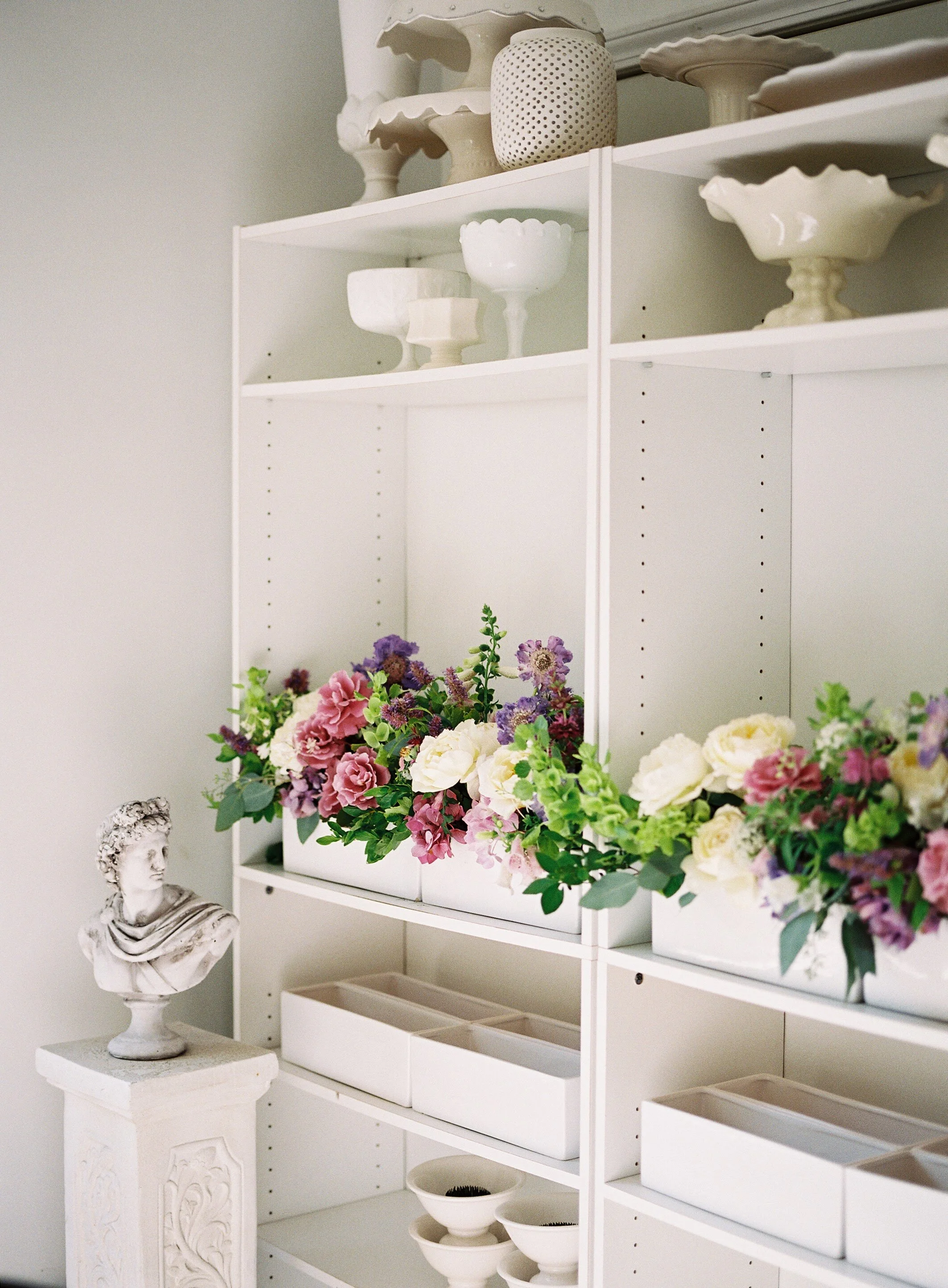 Championing Others with Botanical Brouhaha