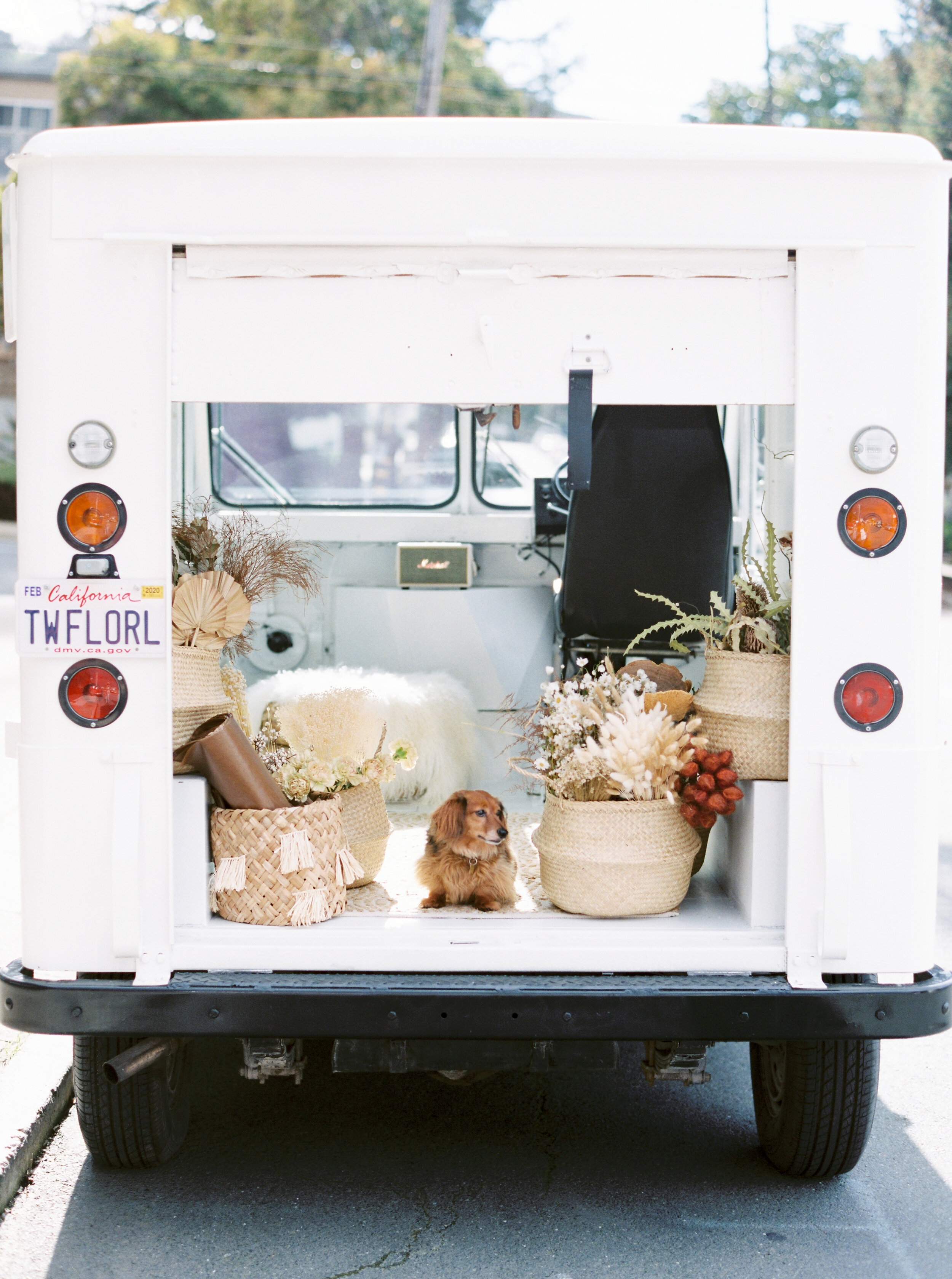Your Guide to Starting a Flower Truck Business