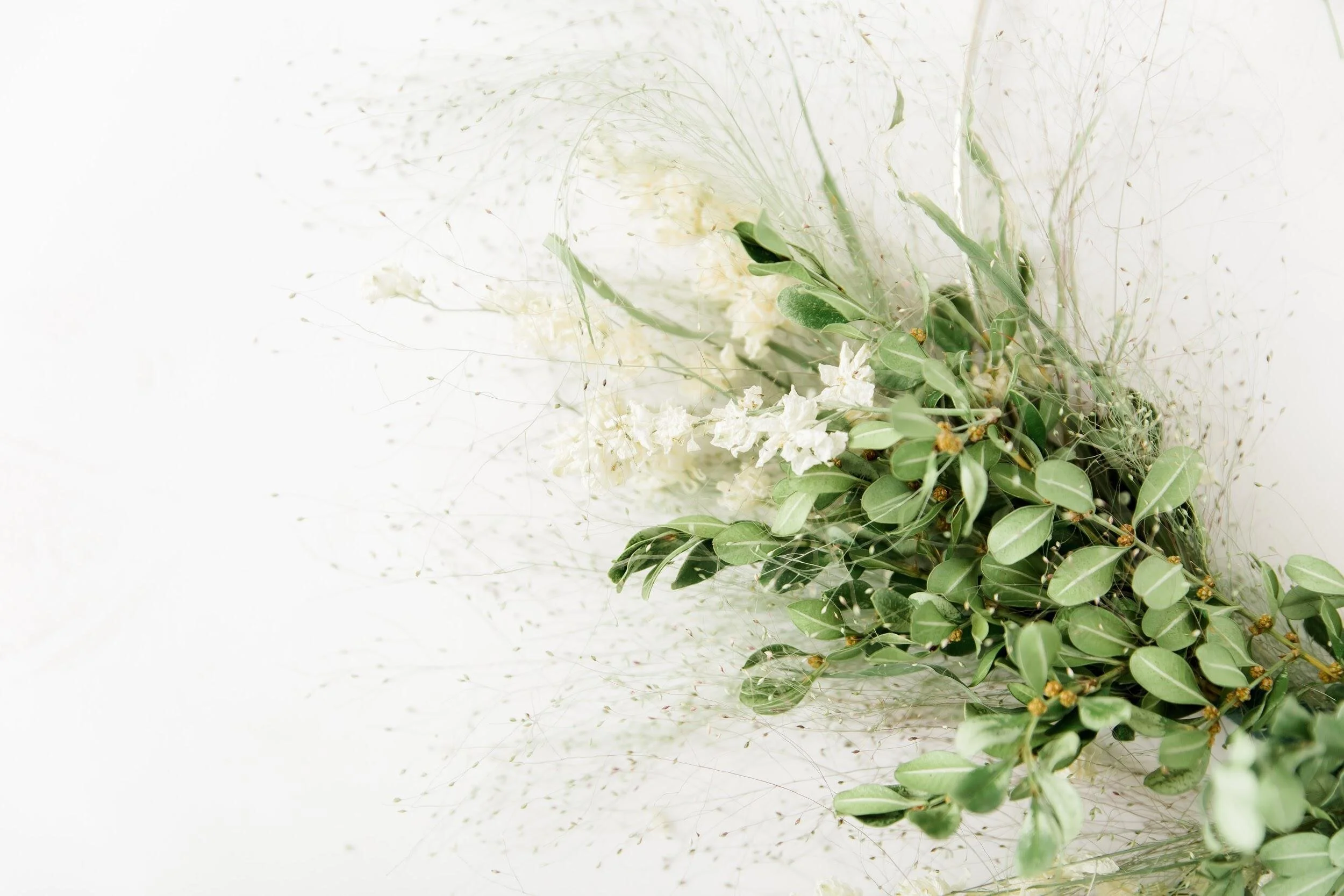Unique Grasses to Use in Floral Design—And How to Grow Them