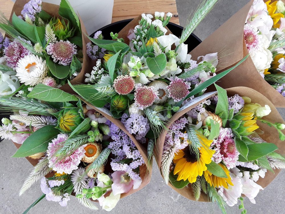 Unique Grasses to Use in Floral Design—And How to Grow Them