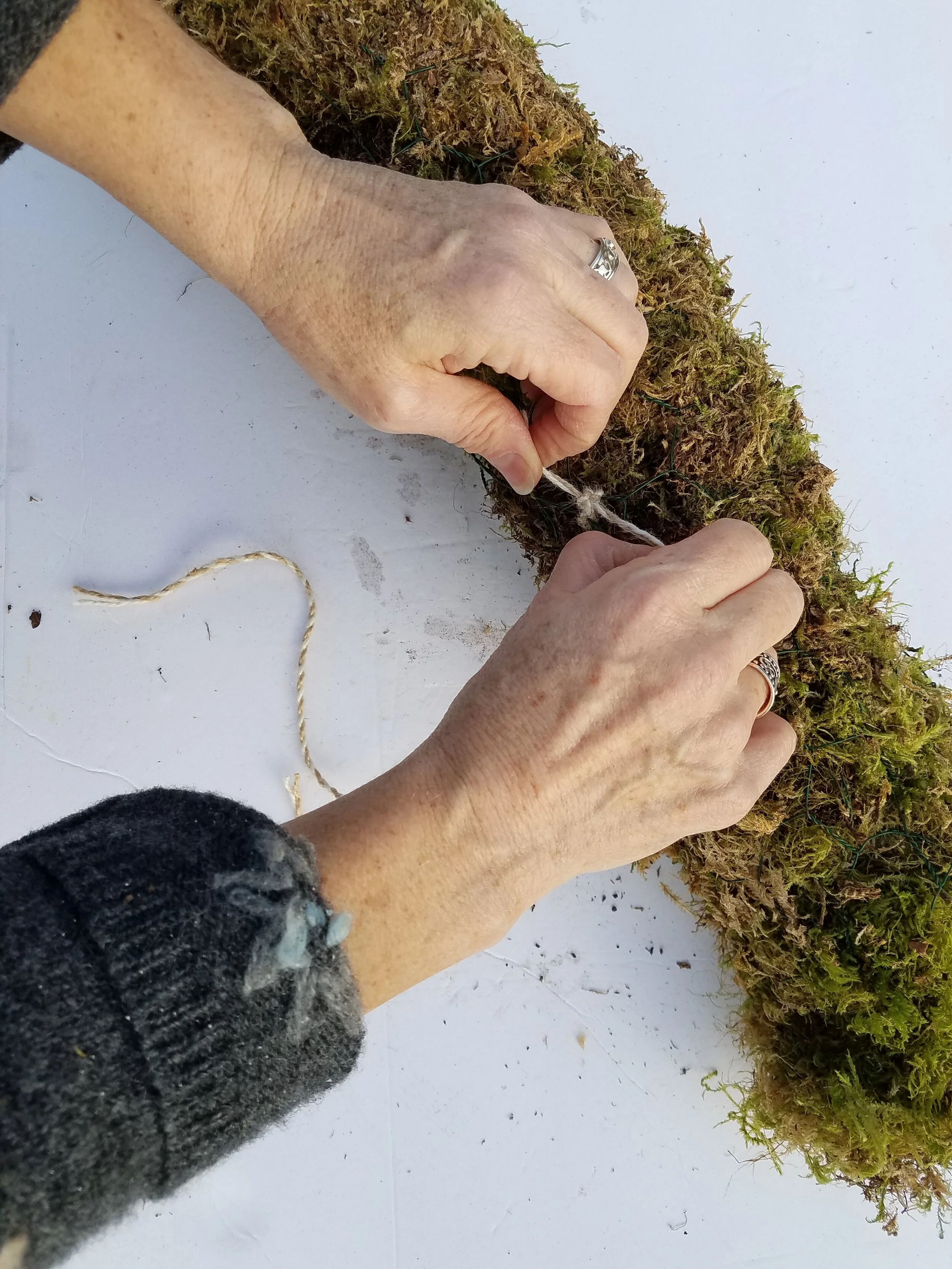 How to Use Moss as a Foam-Free Floral Mechanic