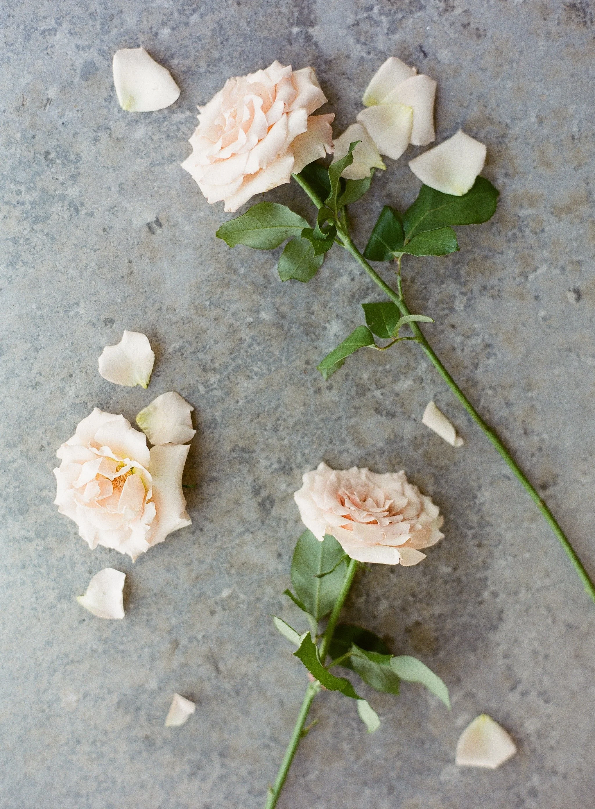 Creative Marketing Ideas for Florists: Mother’s Day and Beyond