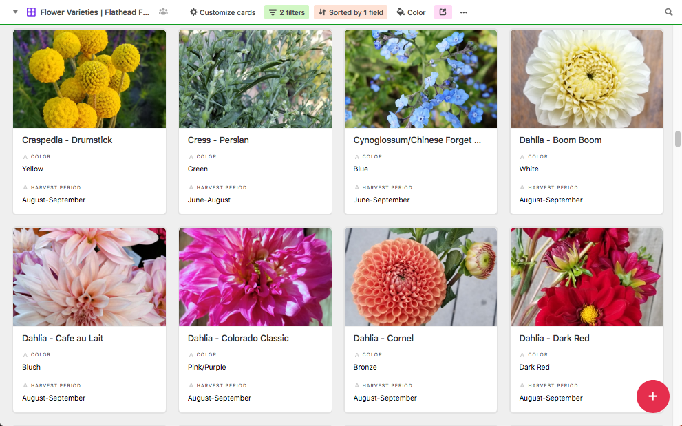 How to Create an Exceptional Availability List for Your Flower Farm