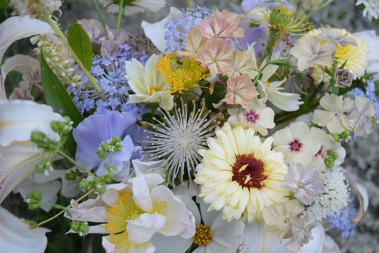 Using Flowers as Therapy for Chronic Illness